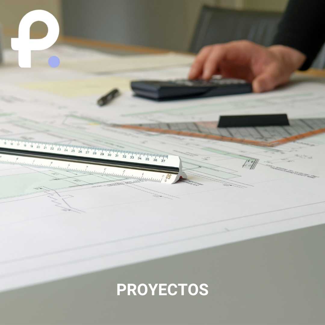 Proyectos